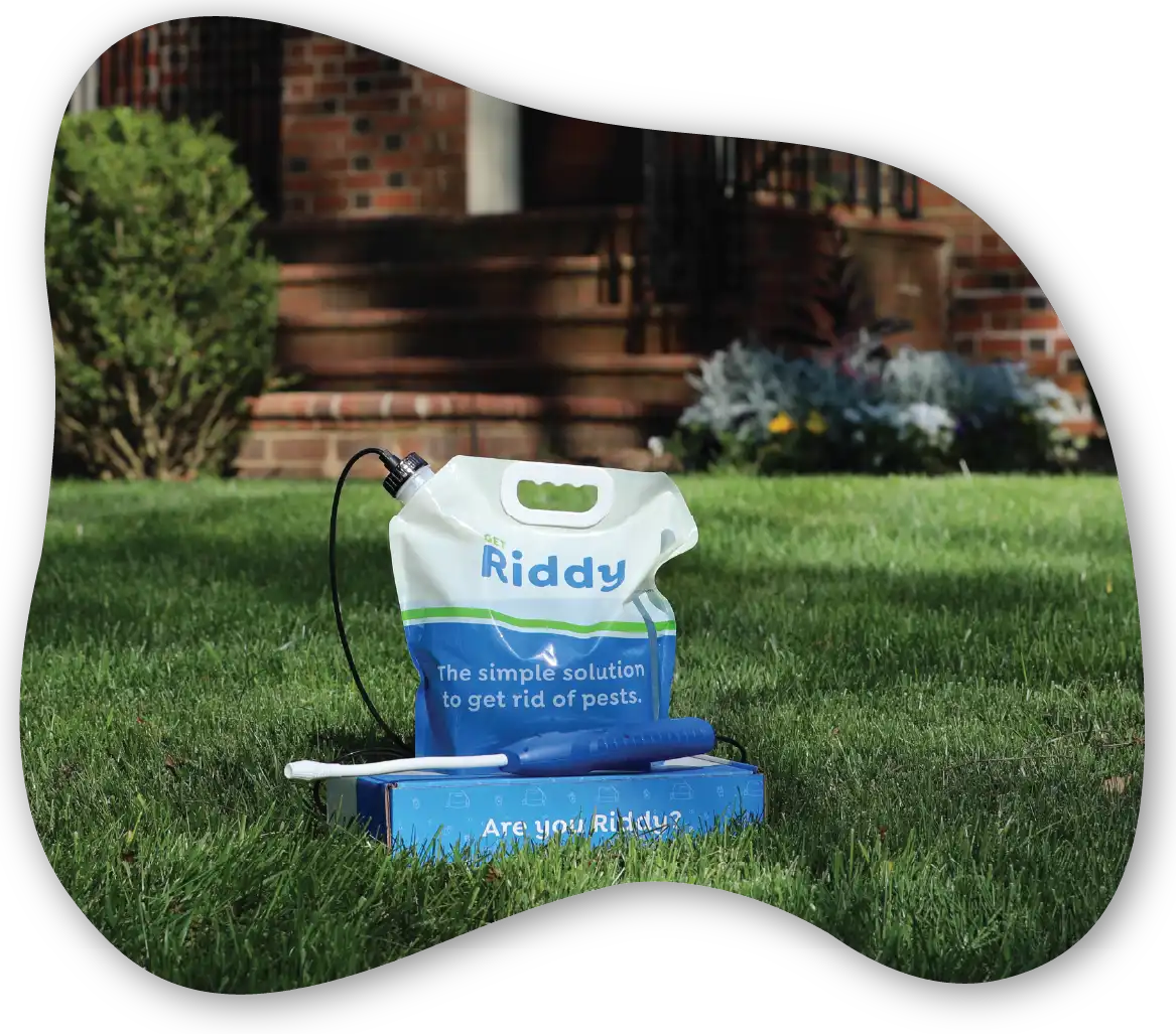 Riddy Prod – Opening Soon